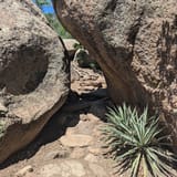 Fatmans Loop Trail, Arizona - 5,726 Reviews, Map | AllTrails