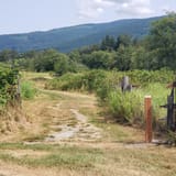 Northern State Recreation Area Loop, Washington - 578 Reviews, Map ...