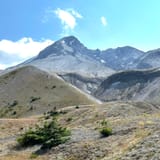 Loowit Loop, Washington - 455 Reviews, Map | AllTrails