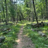 Piers Gorge, Michigan - 393 Reviews, Map | AllTrails