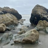 Ruby Beach, Washington - 1,886 Reviews, Map | AllTrails