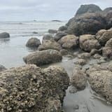 Ruby Beach, Washington - 1,886 Reviews, Map | AllTrails