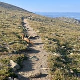 Mount Ida Trail, Colorado - 1,598 Reviews, Map | AllTrails