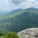 Huckleberry Point Trail, New York - 1,877 Reviews, Map | AllTrails