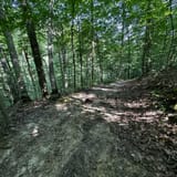 Low Gap Trail , Indiana - 1,445 Reviews, Map | AllTrails