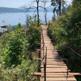 Tubbs Hill, Idaho - 4,649 Reviews, Map | AllTrails