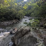 Laurel River Trail, North Carolina - 1,676 Reviews, Map | AllTrails