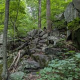 Three Ridges Trail, Virginia - 955 Reviews, Map | AllTrails