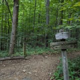 Three Ridges Trail, Virginia - 955 Reviews, Map | AllTrails