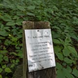 Three Ridges Trail, Virginia - 955 Reviews, Map | AllTrails