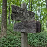 Three Ridges Trail, Virginia - 955 Reviews, Map | AllTrails