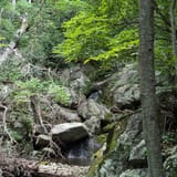 Three Ridges Trail, Virginia - 955 Reviews, Map | AllTrails