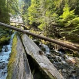 Proxy Falls Loop, Oregon - 1,299 Reviews, Map | AllTrails