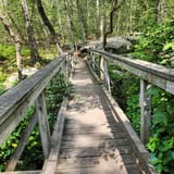 Stepstone Falls via Ben Utter Trail, Rhode Island - 1,659 Reviews, Map ...