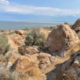 Buffalo Point Trail, Utah - 1,278 Reviews, Map | AllTrails