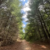 Appalachian Trail, Hosack Run, and Locust Gap Loop, Pennsylvania - 452 ...
