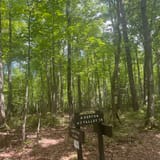 Appalachian Trail, Hosack Run, and Locust Gap Loop, Pennsylvania - 452 ...