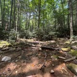 Appalachian Trail, Hosack Run, and Locust Gap Loop, Pennsylvania - 452 ...