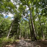 Appalachian Trail, Hosack Run, and Locust Gap Loop, Pennsylvania - 452 ...