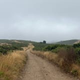 Sweeney Ridge Trail via Mori Ridge, California - 1,535 Reviews, Map ...