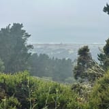 Sweeney Ridge Trail via Mori Ridge, California - 1,545 Reviews, Map ...