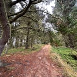 Sweeney Ridge Trail via Mori Ridge, California - 1,545 Reviews, Map ...