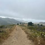 Sweeney Ridge Trail via Mori Ridge, California - 1,545 Reviews, Map ...