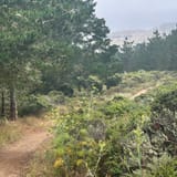 Sweeney Ridge Trail via Mori Ridge, California - 1,545 Reviews, Map ...