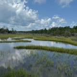 Cedar Point Tideland Trail, North Carolina - 773 Reviews, Map | AllTrails