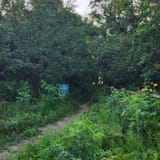 Ice Age Trail: Blue Spring Lake Segment, Wisconsin - 602 Reviews, Map ...