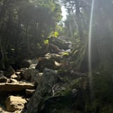 Killington Peak via Bucklin Trail, Vermont - 1,953 Reviews, Map | AllTrails