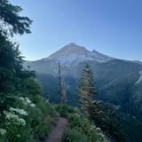 McNeil Point Trail, Oregon - 2,968 Reviews, Map | AllTrails
