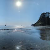 Cape Alava Trail, Washington - 556 Reviews, Map | AllTrails