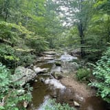 Whiteoak Canyon and Cedar Run Trail Loop, Virginia - 2,850 Reviews, Map ...
