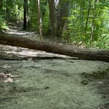 Lakeview and Boundary Loop, Indiana - 155 Reviews, Map | AllTrails