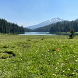 Todd Lake Loop, Oregon - 832 Reviews, Map | AllTrails