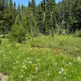 Todd Lake Loop, Oregon - 832 Reviews, Map | AllTrails