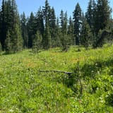 Todd Lake Loop, Oregon - 832 Reviews, Map | AllTrails