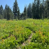 Todd Lake Loop, Oregon - 832 Reviews, Map | AllTrails
