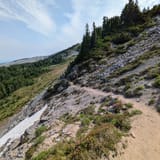 McNeil Point Trail, Oregon - 2,968 Reviews, Map | AllTrails