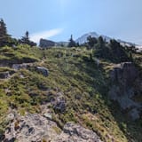 McNeil Point Trail, Oregon - 2,968 Reviews, Map | AllTrails