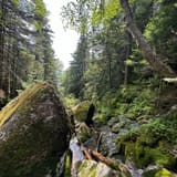 Mount Marshall via the Calamity Brook Trail, New York - 962 Reviews ...