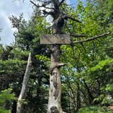 Mount Marshall via the Calamity Brook Trail, New York - 962 Reviews ...