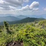 Mount Marshall via the Calamity Brook Trail, New York - 962 Reviews ...