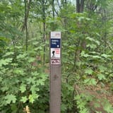 Armstrong Trail to Dawns Trail Loop, Utah - 3,061 Reviews, Map | AllTrails