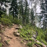 Thunderhead Hiking Trail, Colorado - 1,052 Reviews, Map | AllTrails