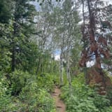 Thunderhead Hiking Trail, Colorado - 1,052 Reviews, Map | AllTrails
