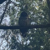 Seahurst Park Loop Trail, Washington - 897 Reviews, Map | AllTrails