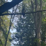 Seahurst Park Loop Trail, Washington - 897 Reviews, Map | AllTrails