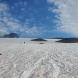 Muir Snowfield Ski Tour, Washington - 1,607 Reviews, Map | AllTrails